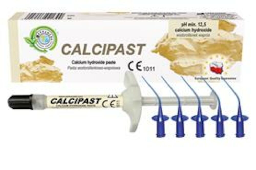 CALCIPAST Calcium hydroxide paste 1x2,1g 1 x 2.1 g — FI1