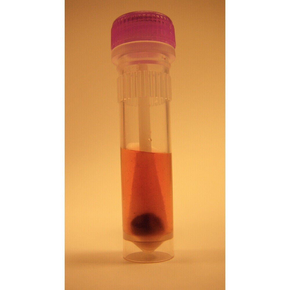 Indikaattori Pyromol proteiinitesti 1 x 20 kpl — FI1