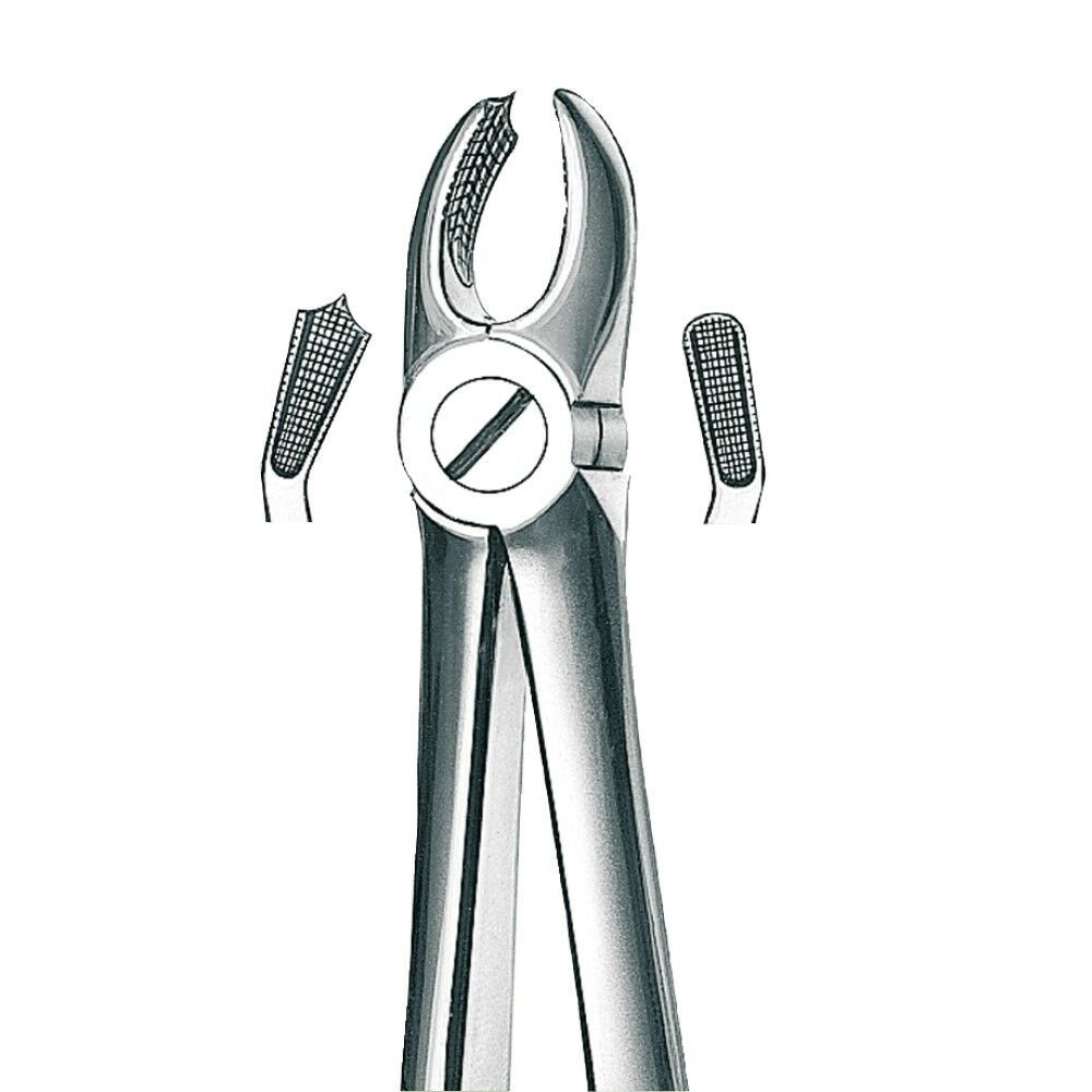 ORBIS Pihti ylämolaari vasen 18. 1 x 1 kpl — FI1